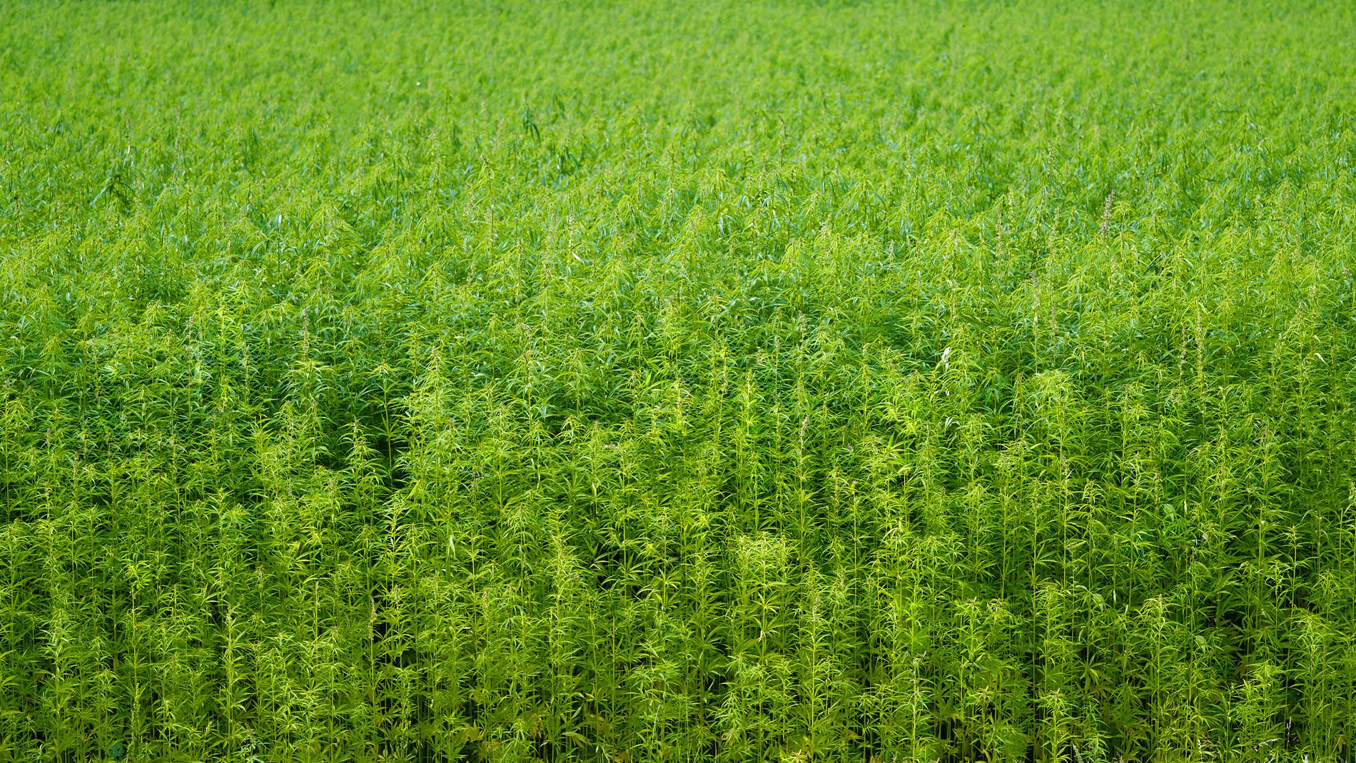 Signature Products GmbH